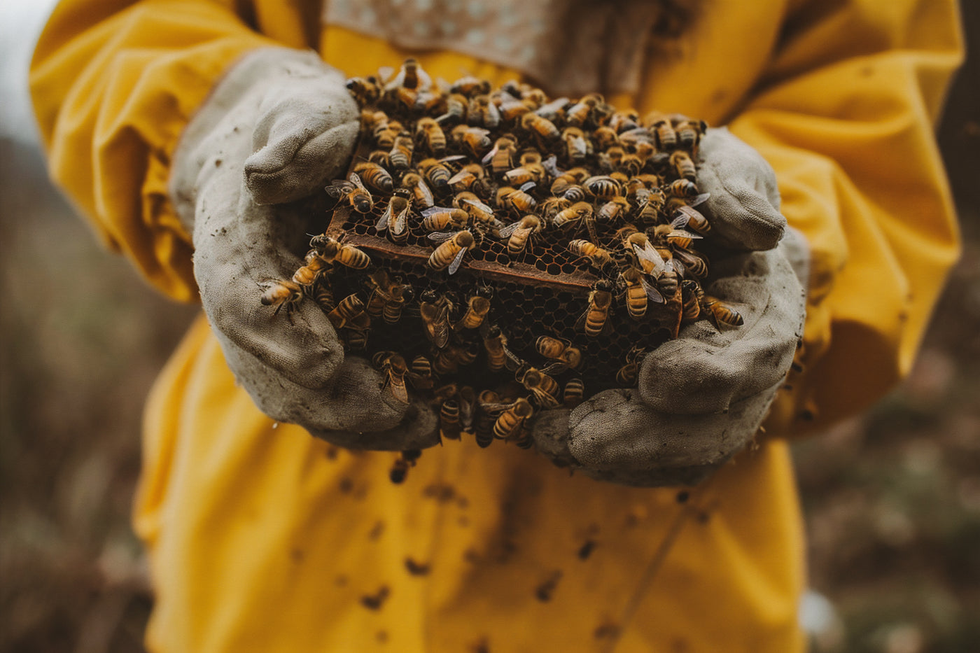 Our Story – Pure Nature NZ